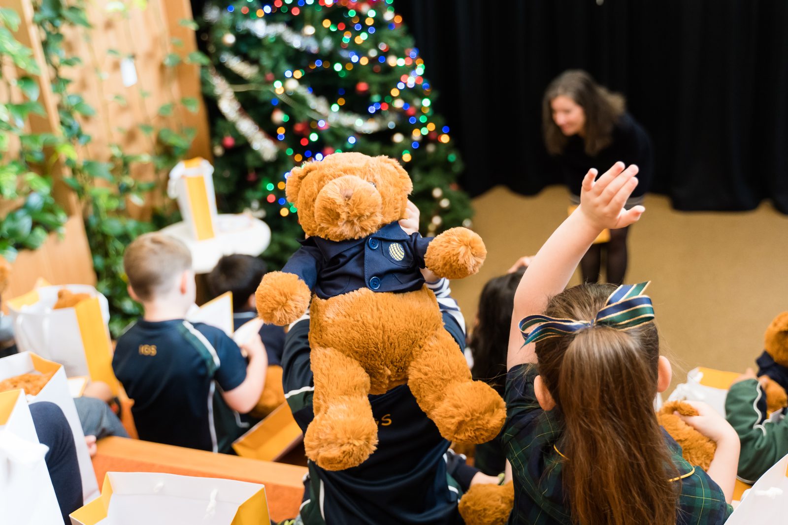 Teddy bear tradition – International Grammar School Sydney